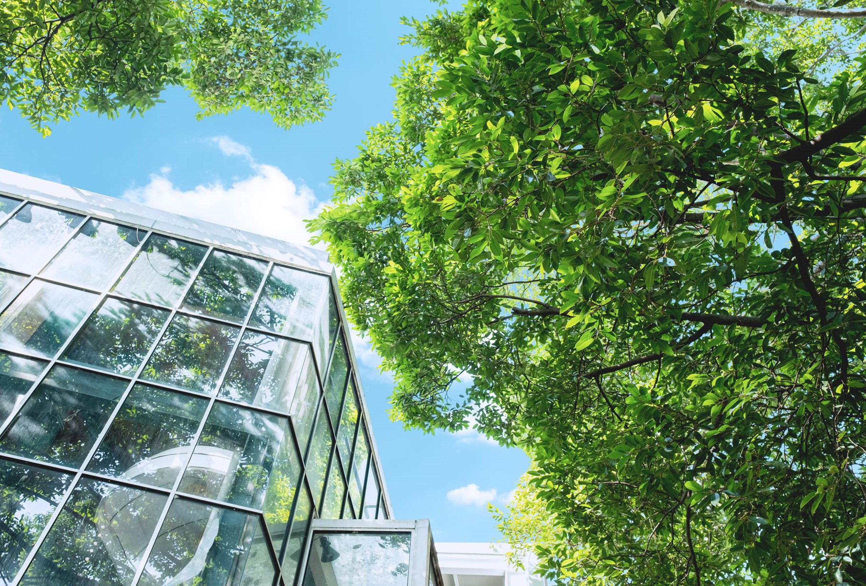 ERM at the Peru Carbon Forum 2025