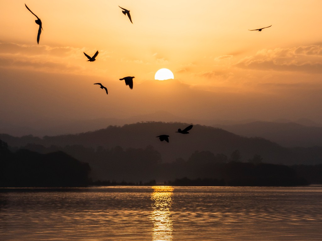 The case for Long-term Corporate Investments and Commitments to Natural Climate Solutions