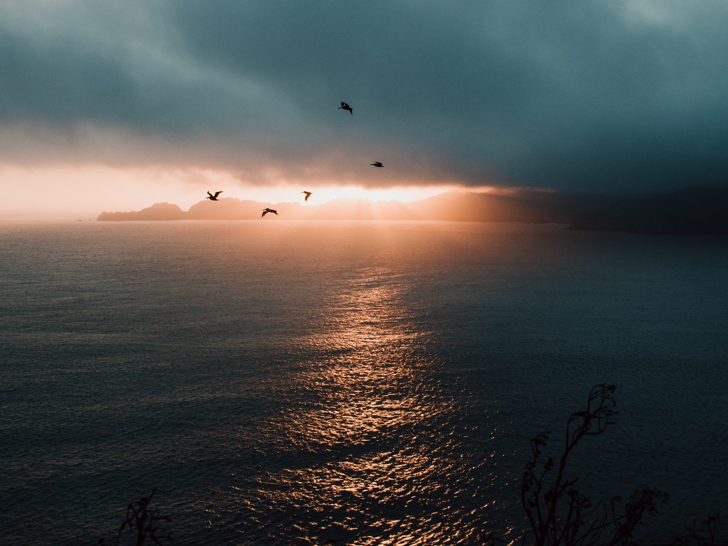 ISSB Standards, TCFD & Climate Risk Reporting 2024