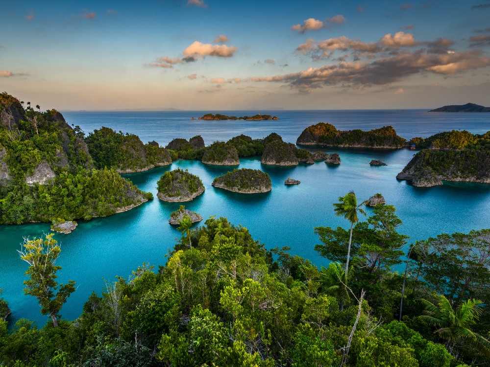 ERM APAC Webinar | 2024 Annual Trends Report