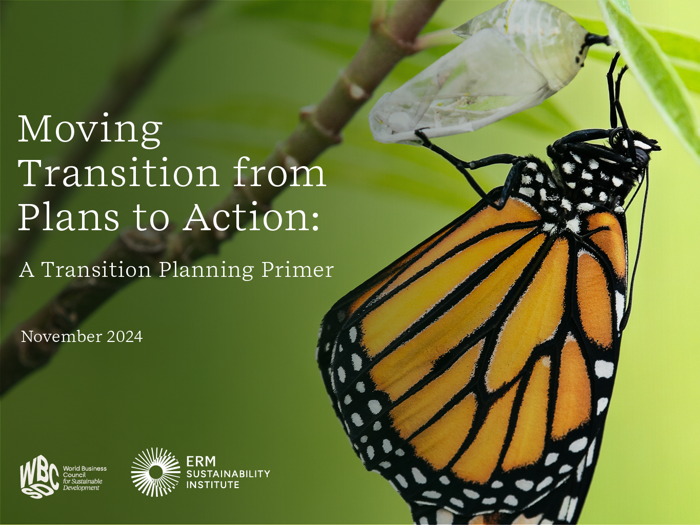 Moving transition from plans to action: A transition planning primer