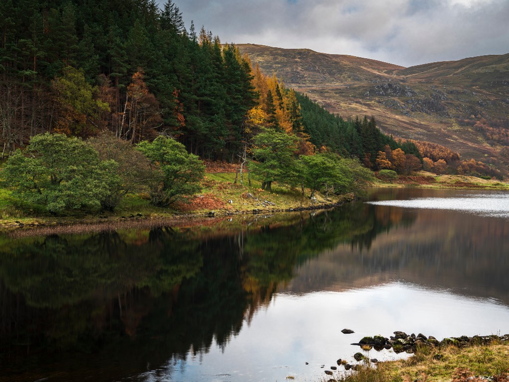 Leveling Up a Wind Farm’s Positive Impact