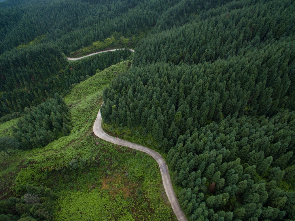 Circular Electronics Partnership