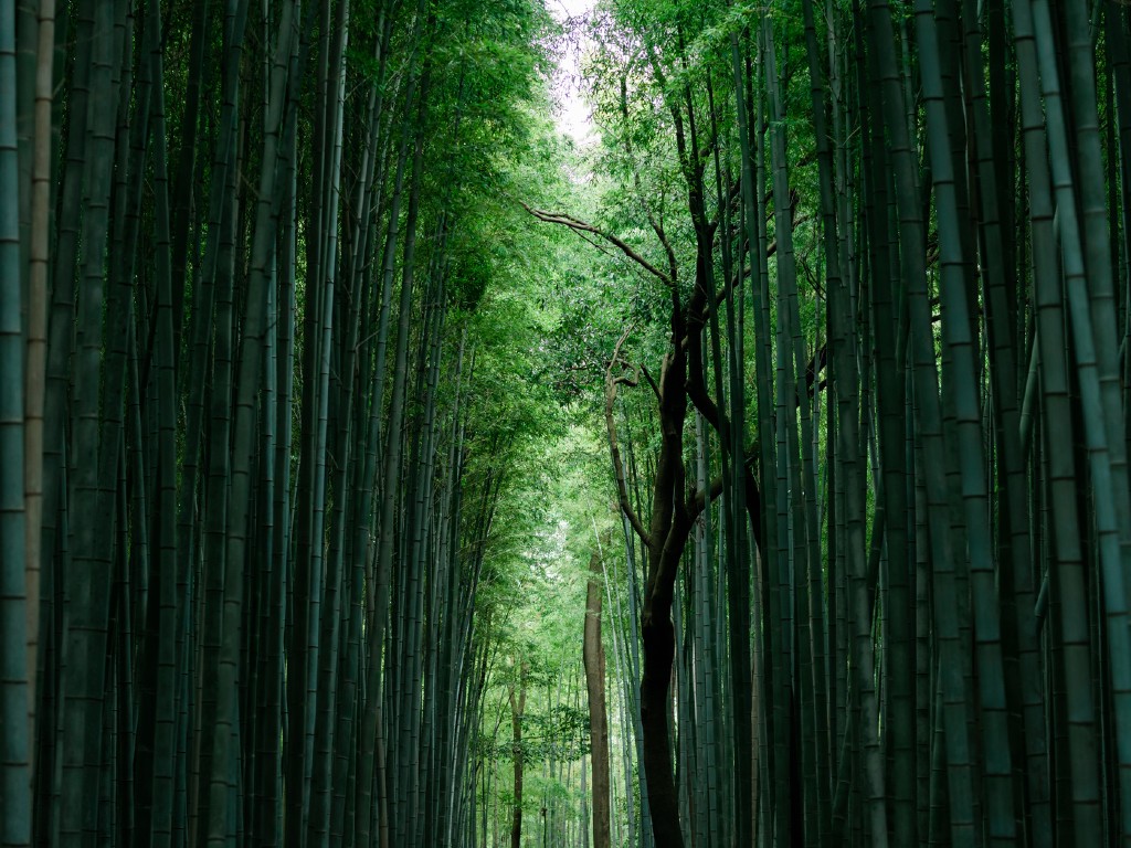 ERM achieves SBTi validation for Net-Zero Standard targets