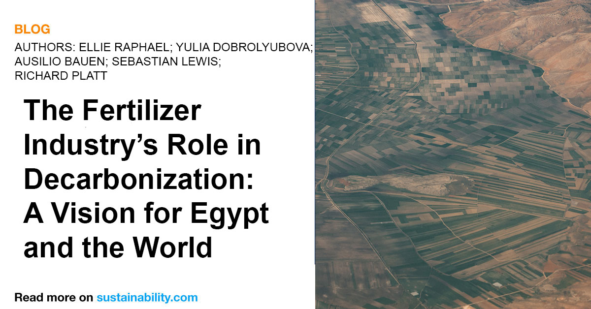 The Fertilizer Industry’s Role in Decarbonization: A Vision for Egypt ...