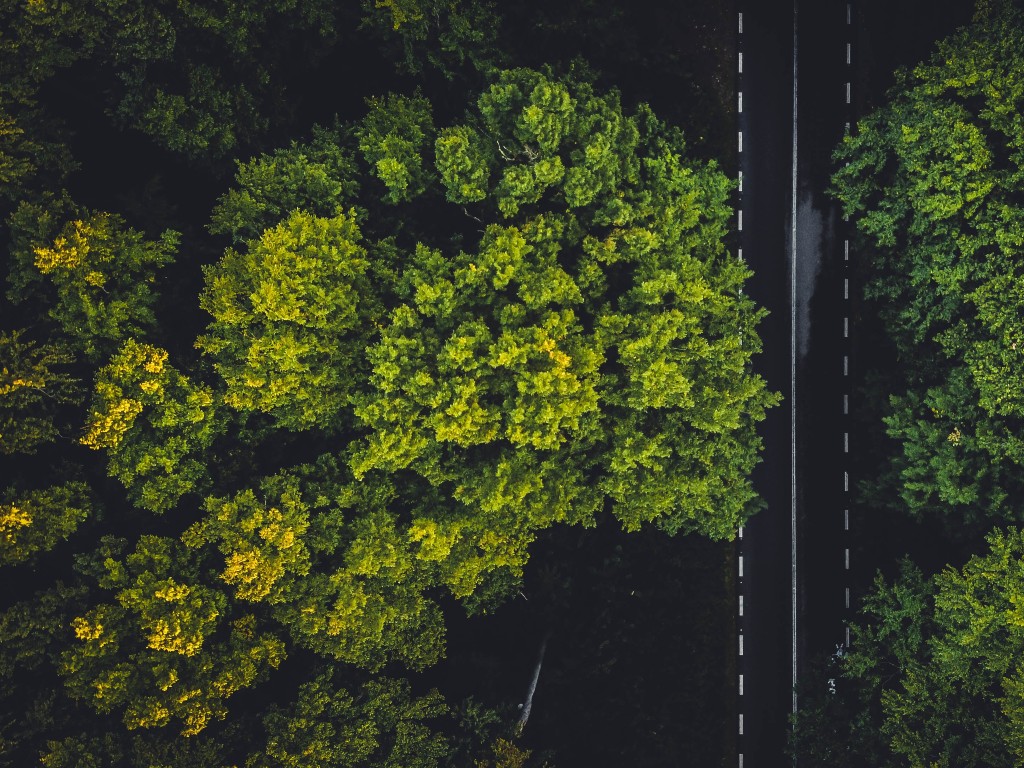 Sustainability Consulting & Advisory Services | ERM
