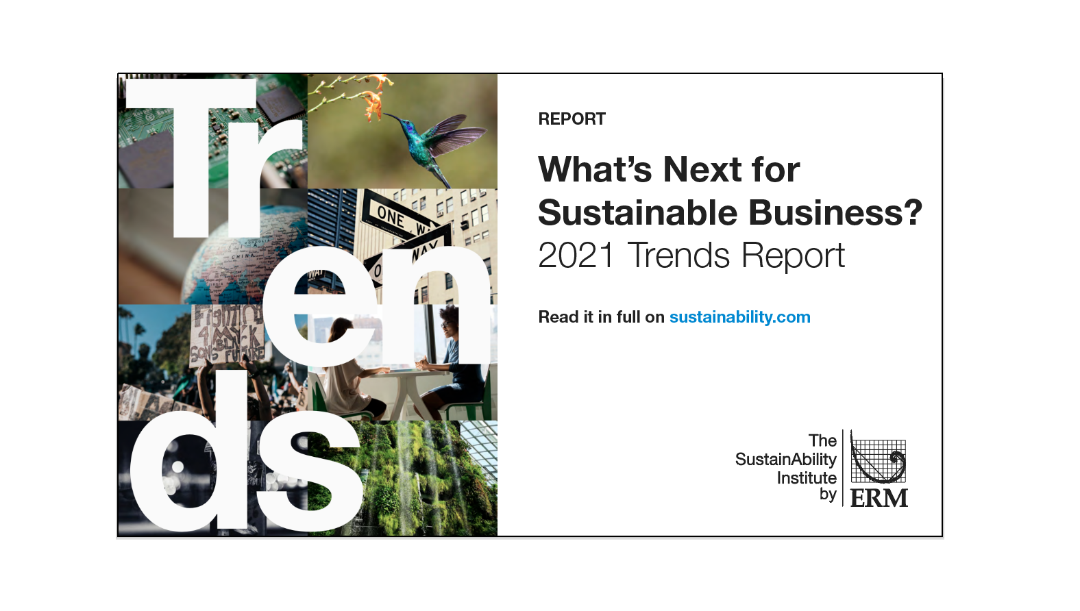 2021 Sustainability Trends report