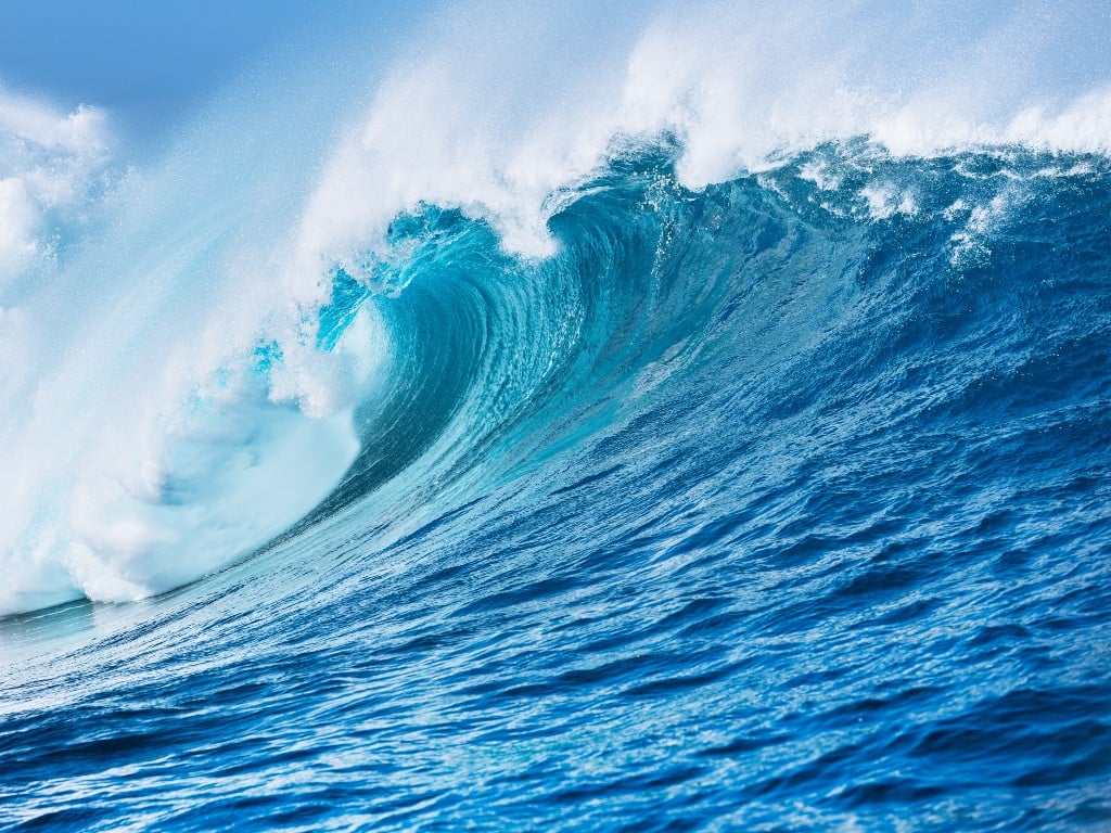 Webinar: Catching the Wave - Seizing the opportunities of the ... Webinar: Catching the Wave - Seizing the opportunities of the ...