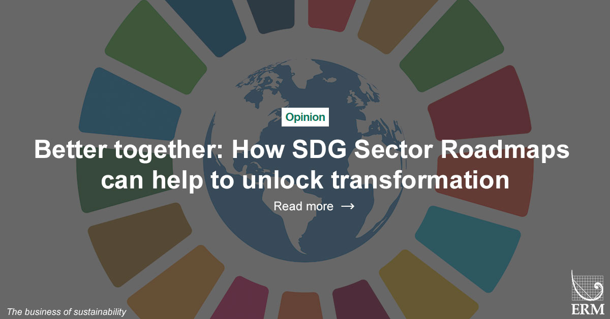 Better together: How SDG Sector Roadmaps can help to unlock transformation