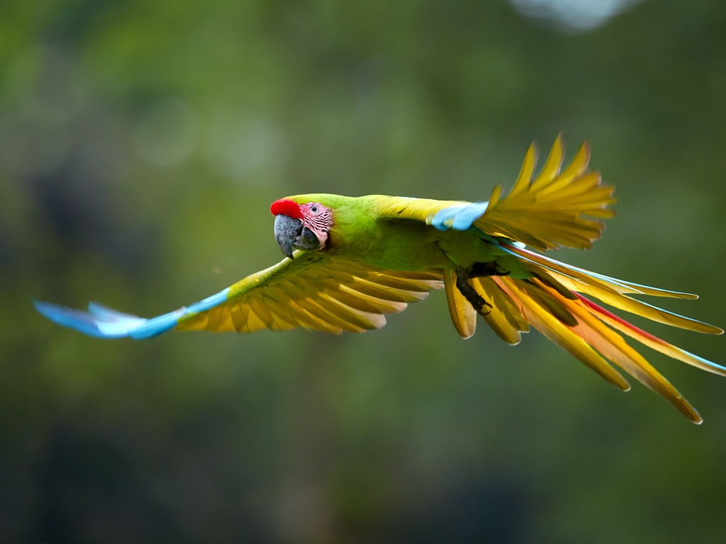 5 takeaways from COP16