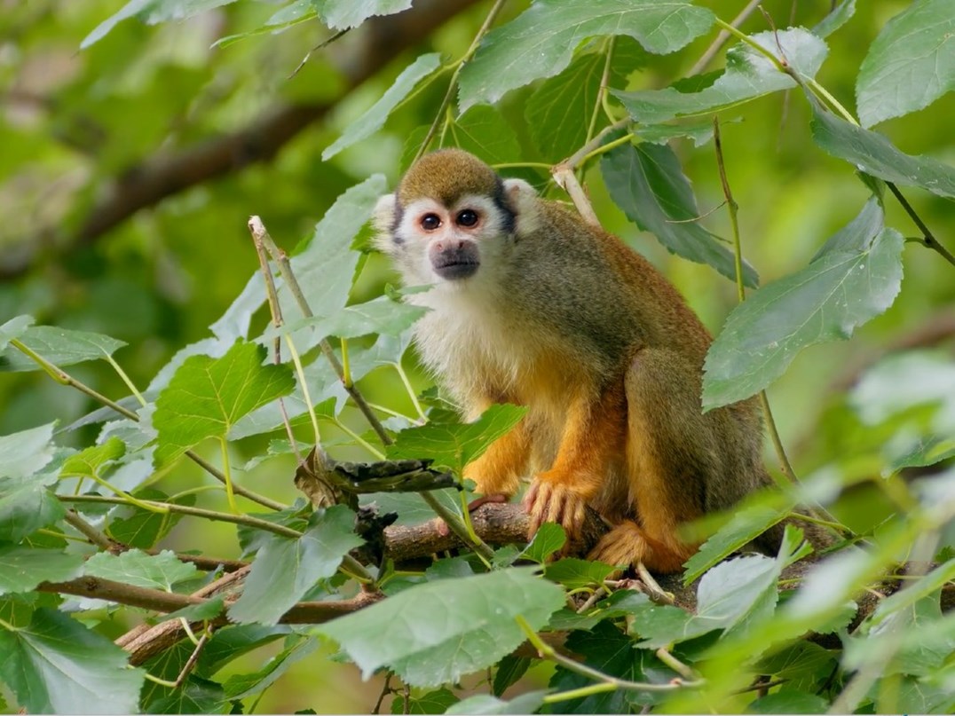 ERM - Environmental Resources Management