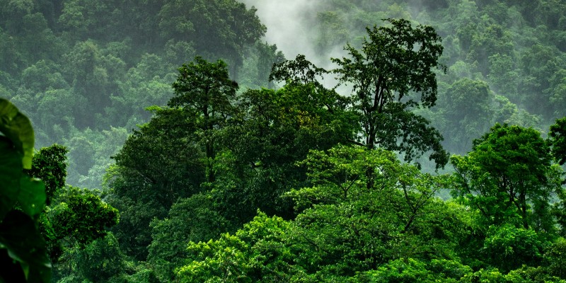 Sustainability Institute