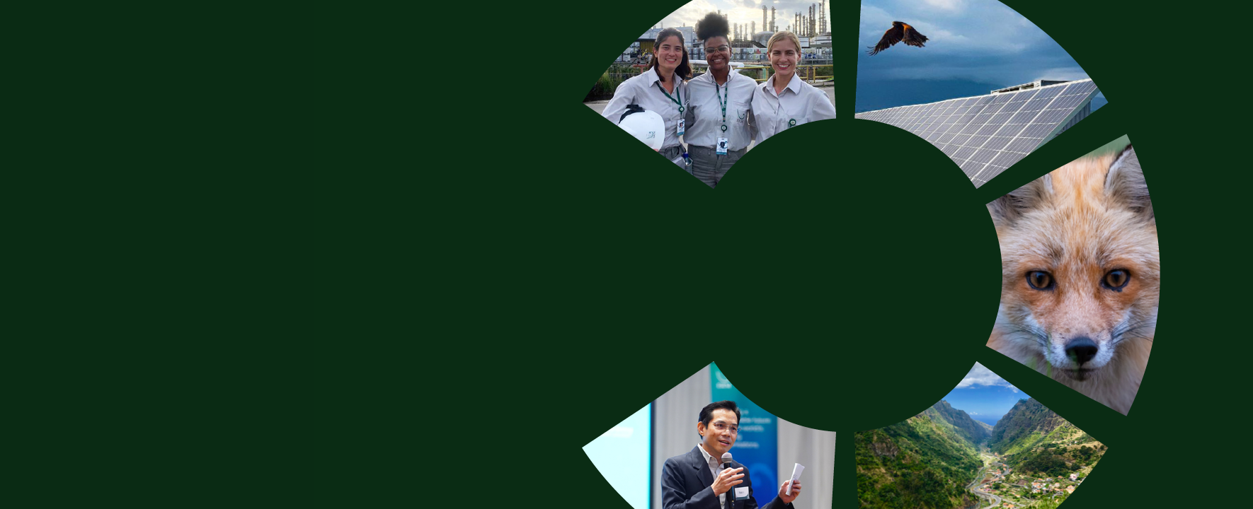 ERM - Environmental Resources Management